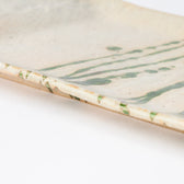 Water Plant Rectangle Dinner Plate