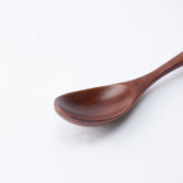 Suri Urushi Ramen Spoon